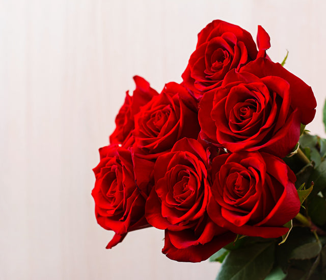 80 Red Flowers Names, Photos, with Easy Planting Tips! – Eternity Flower®