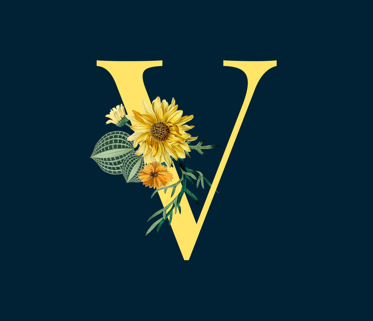 22 Flowers That Start With V - Let’s Get To Know It All! – Eternity Flower®