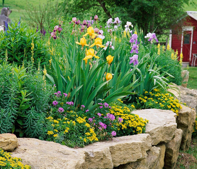 7 Simple Flower Bed Ideas Front of House: Beauty at Your Doorstep ...