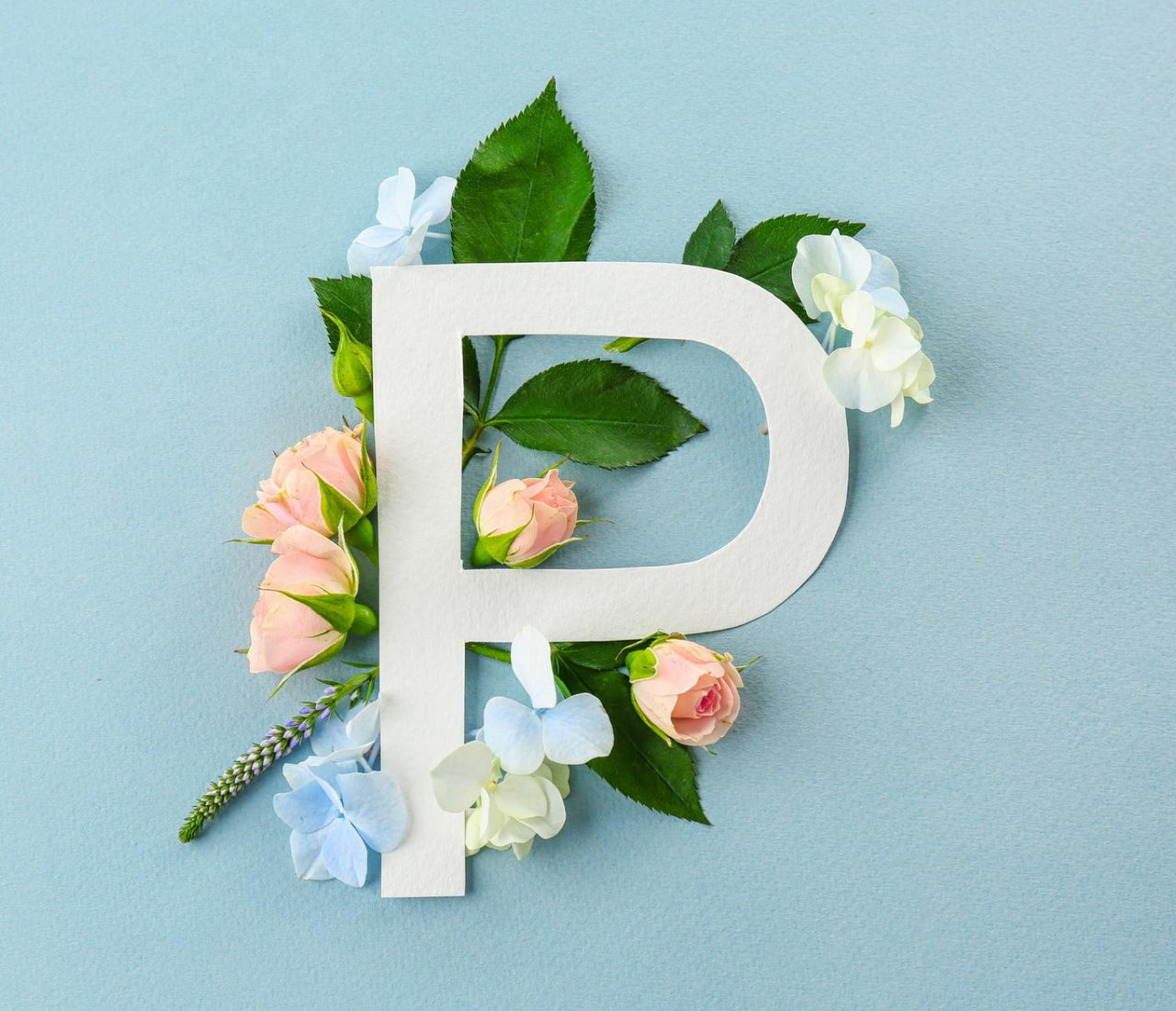 30 Pretty Flowers That Start with P: Name, Photos, and Tips – Eternity ...