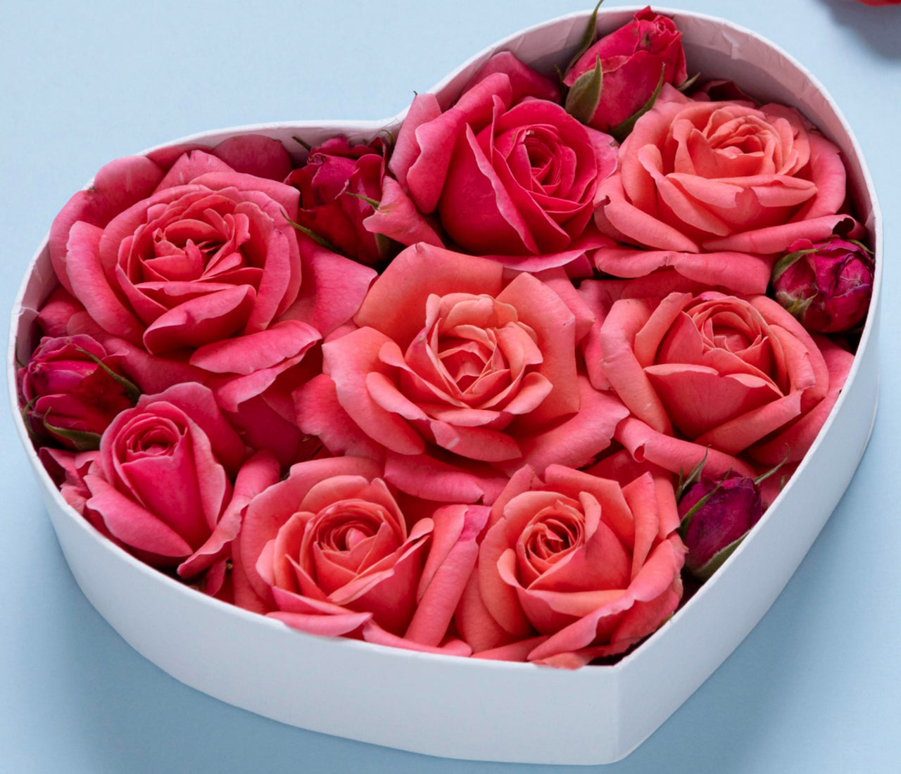 Preserved Flowers: The Beauty of Everlasting Floral Arrangements ...