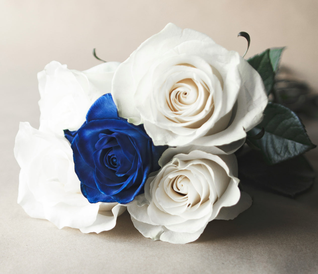 What Does a Blue Rose Mean? Symbolism Explained – Eternity Flower®