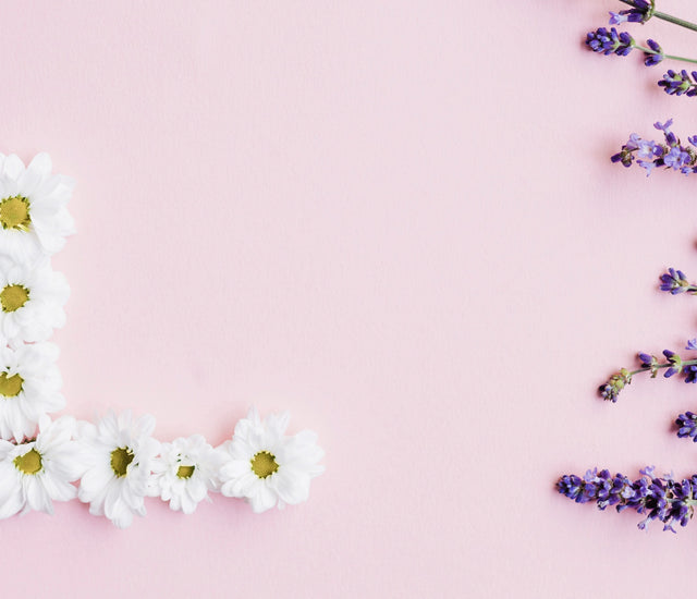 20+ Lovely Flowers Starting with L: Explore These Luminous Bloom ...