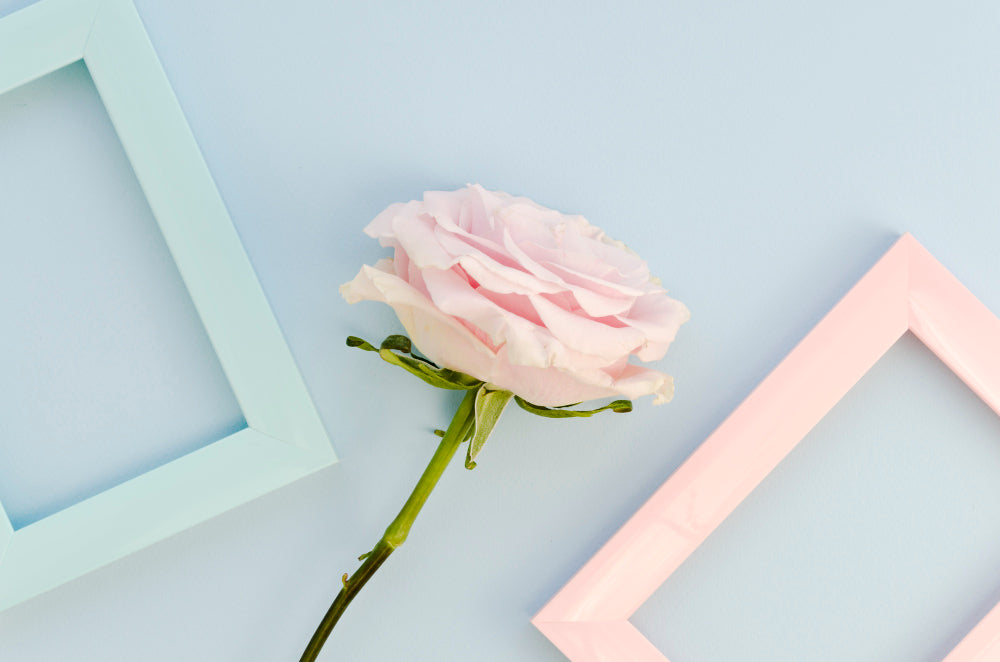 When is National Flower Day? Celebrate and Spread Joy with Flowers ...