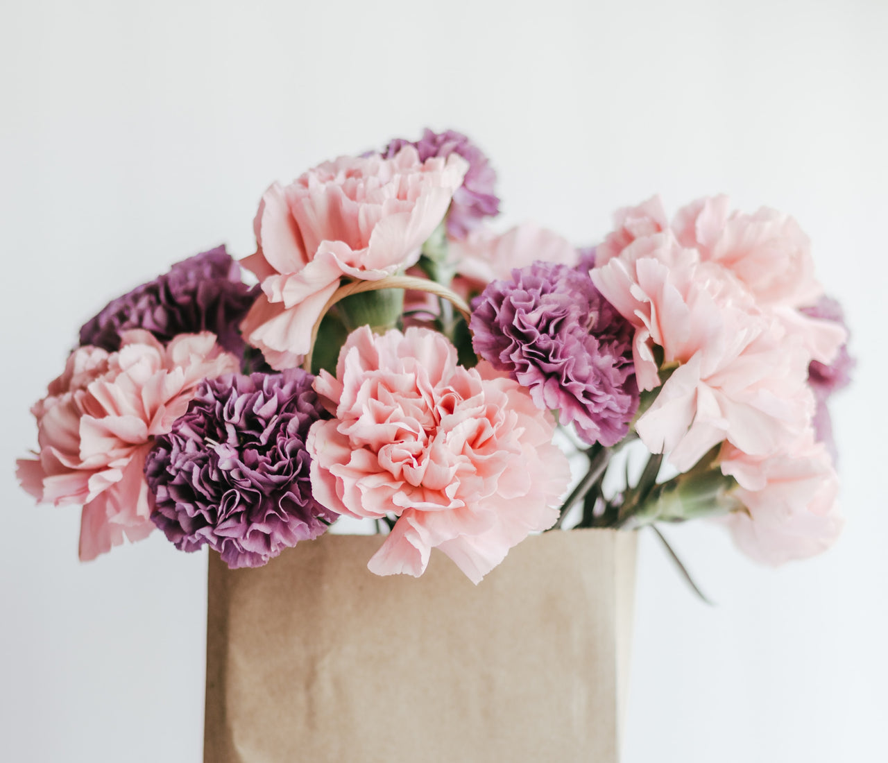 Get Well Soon Flowers: Top Picks for a Speedy Recovery – Eternity Flower®