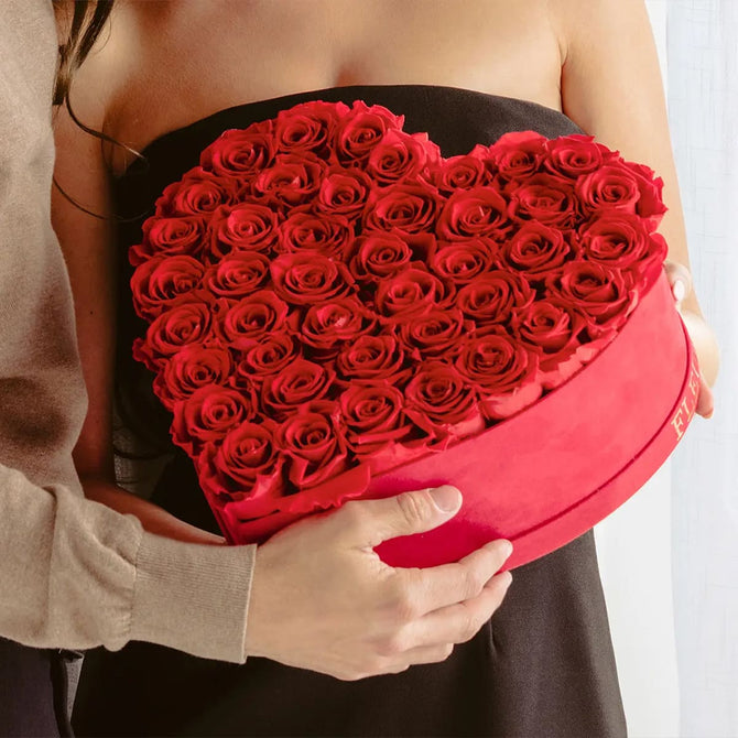 Zesty Beauties: 35 Flowers that Start with Z – Eternity Flower®